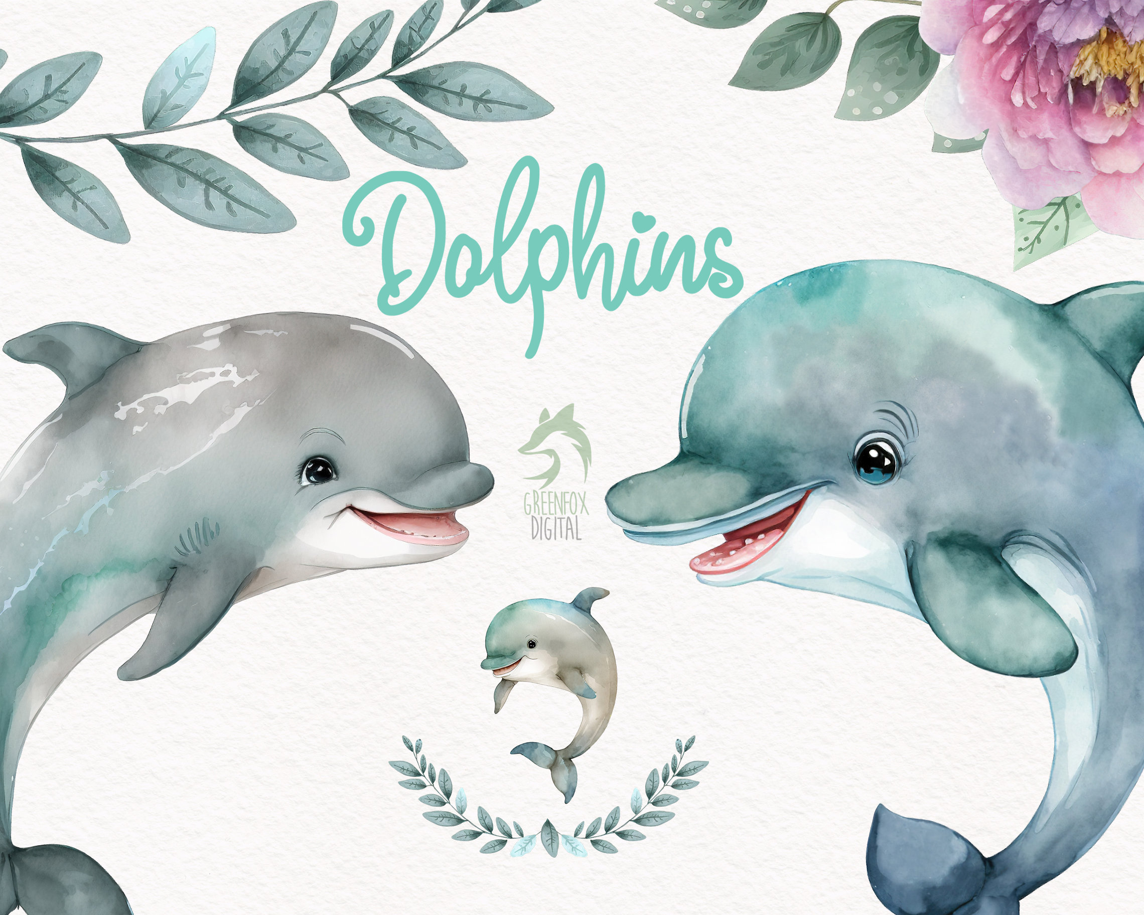 Baby Dolphin Clipart