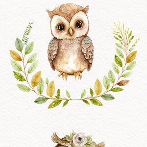 Owl Watercolor Clipart, Cute Baby Shower Graphics, Bird Nursery Decor Wall Art, Woodland Animal ...