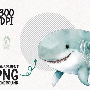 Shark Watercolor Clipart, Cute Baby Shower Graphics, Nursery Decor Wall ...