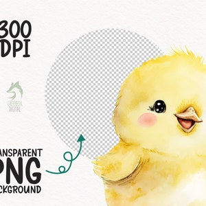 Chick Watercolor Clipart, Cute Chicken Baby Shower Graphics, Nursery ...