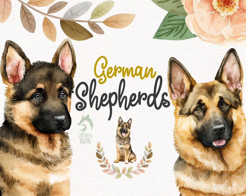 German Shepherd Watercolor Clipart Cute Alsatian Nursery Dog - Etsy