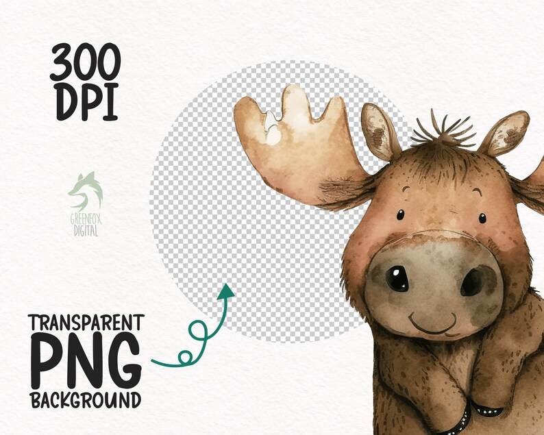 Moose Watercolor Clipart Cute Baby Shower Graphics Nursery - Etsy