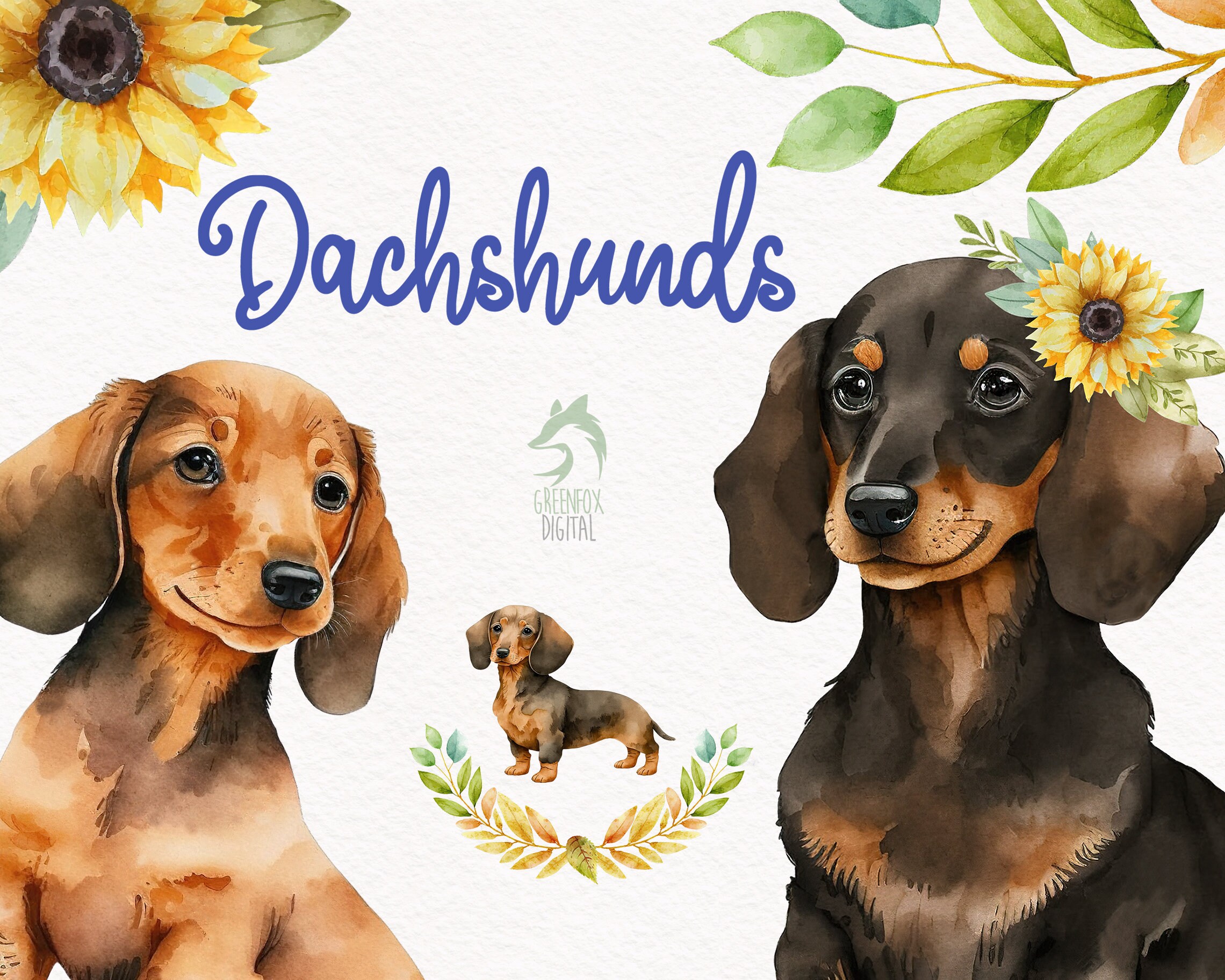 Dachshund Watercolor Clipart Cute Dog Nursery Decor Wall Art - Etsy