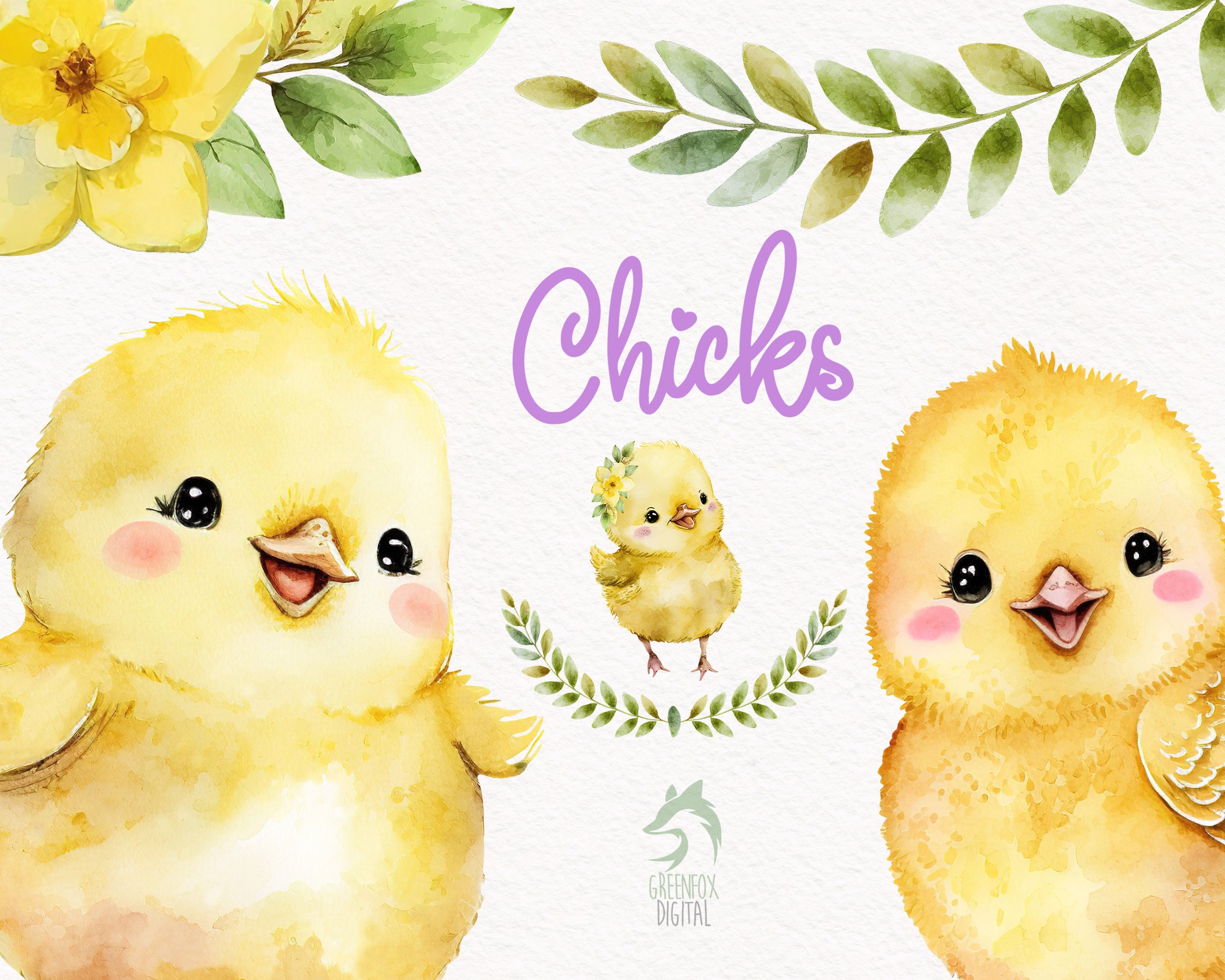 Clipart Chicks