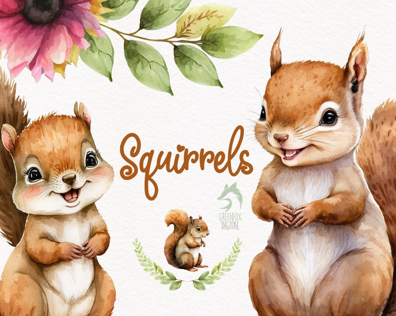 Squirrel Watercolor Clipart Cute Baby Shower Graphics - Etsy