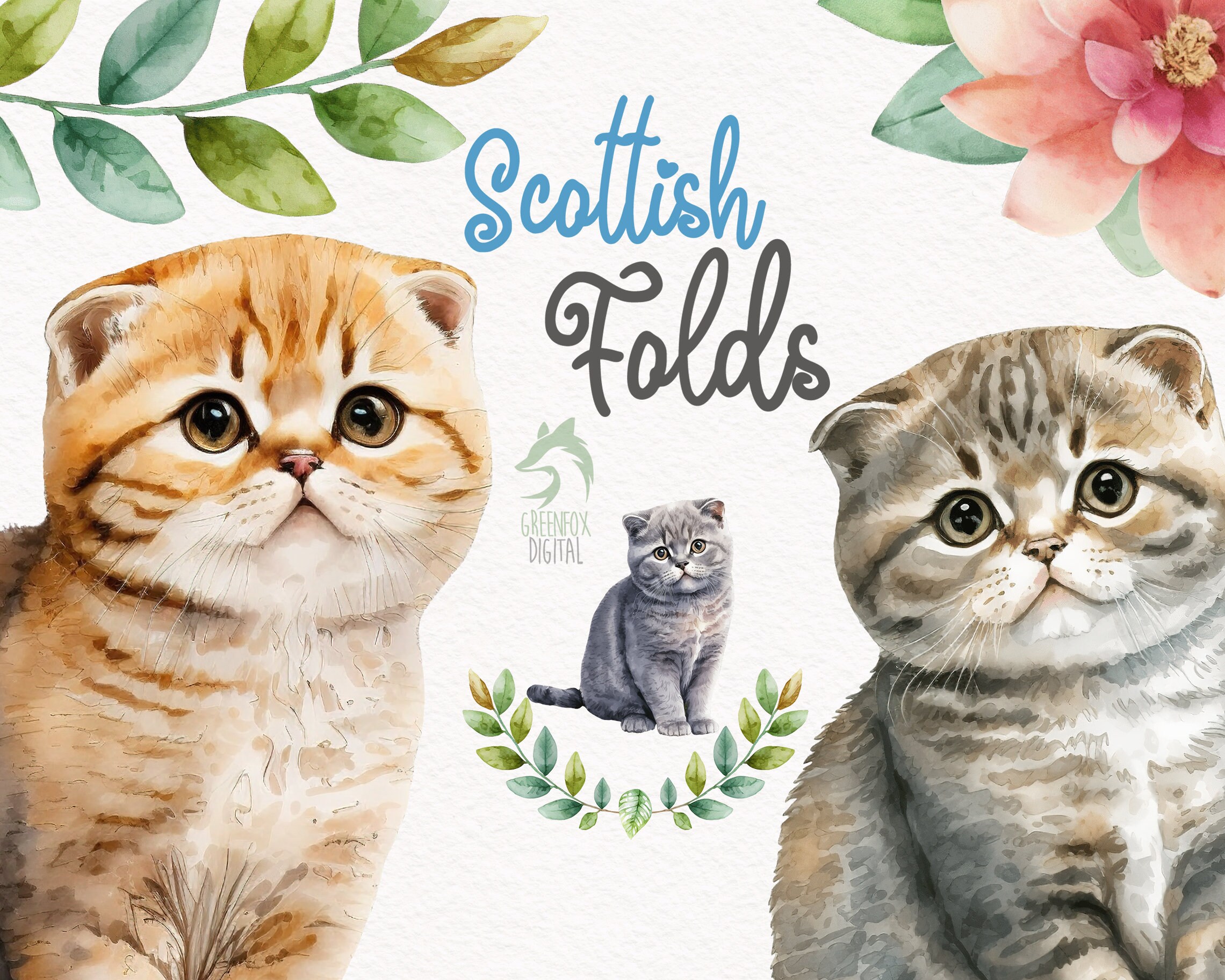 Scottish Fold Watercolor Clipart Cute Cat Nursery Decor Wall - Etsy ...