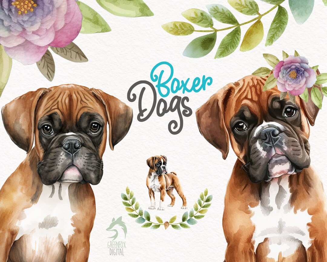 Boxer Dog Watercolor Clipart Cute Nursery Decor Wall Art - Etsy