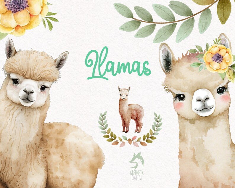 Llama Watercolor Clipart Cute Alpaca Baby Shower Graphics - Etsy