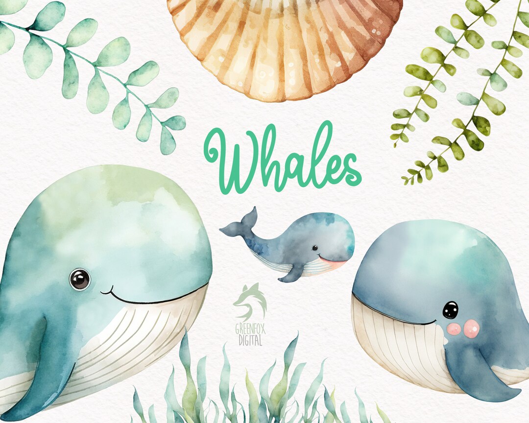 Whale Watercolor Clipart, Cute Baby Shower Graphics, Nursery Decor Wall ...