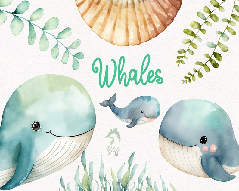 Whale Watercolor Clipart Cute Baby Shower Graphics Nursery - Etsy