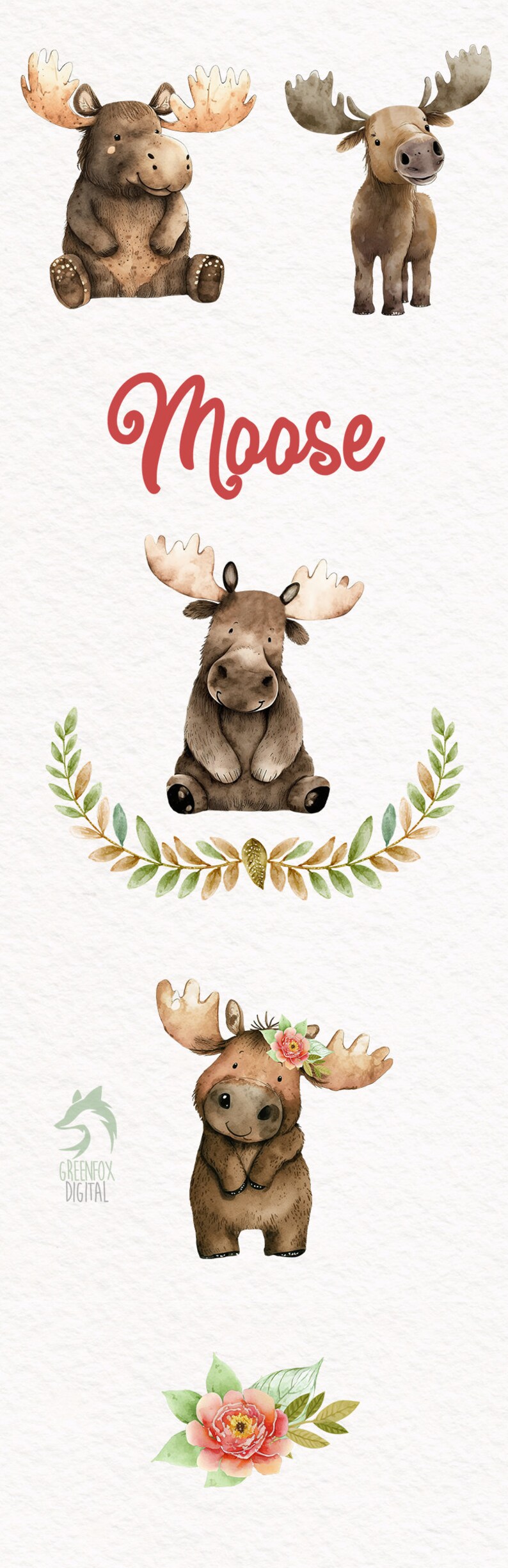 Moose Watercolor Clipart Cute Baby Shower Graphics Nursery - Etsy
