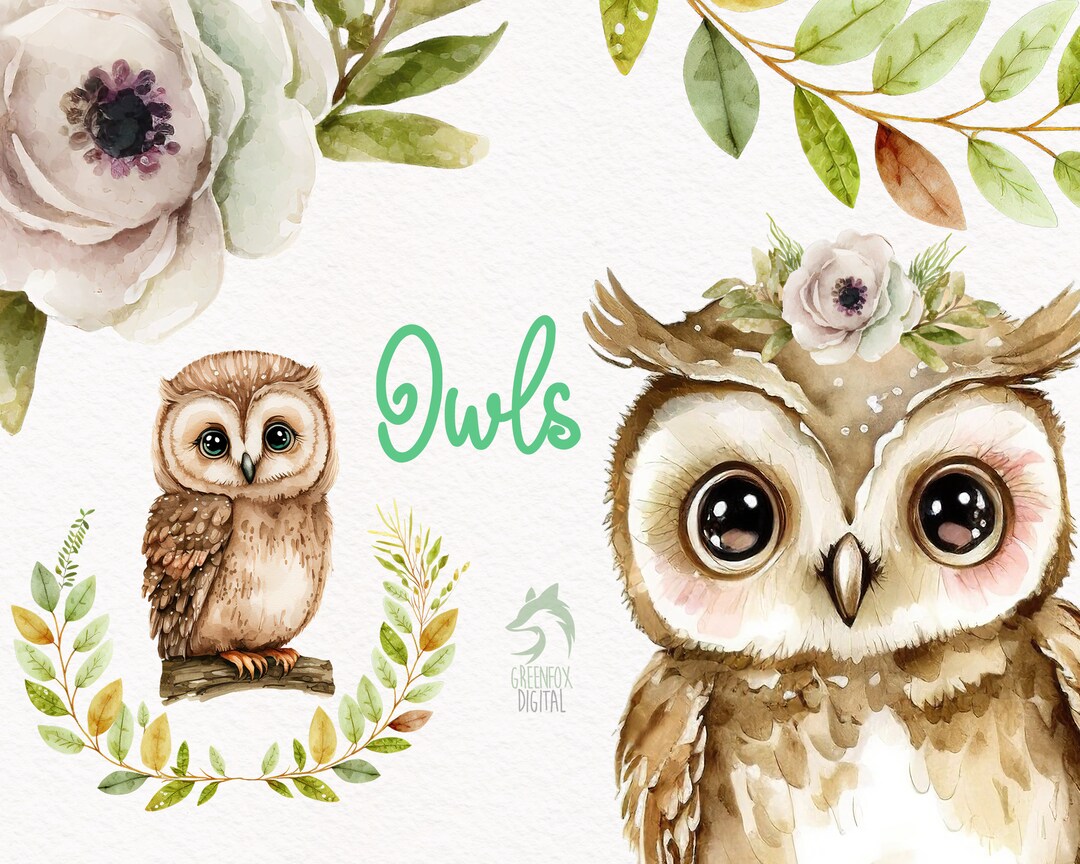 Owl Watercolor Clipart, Cute Baby Shower Graphics, Bird Nursery Decor Wall Art, Woodland Animal ...
