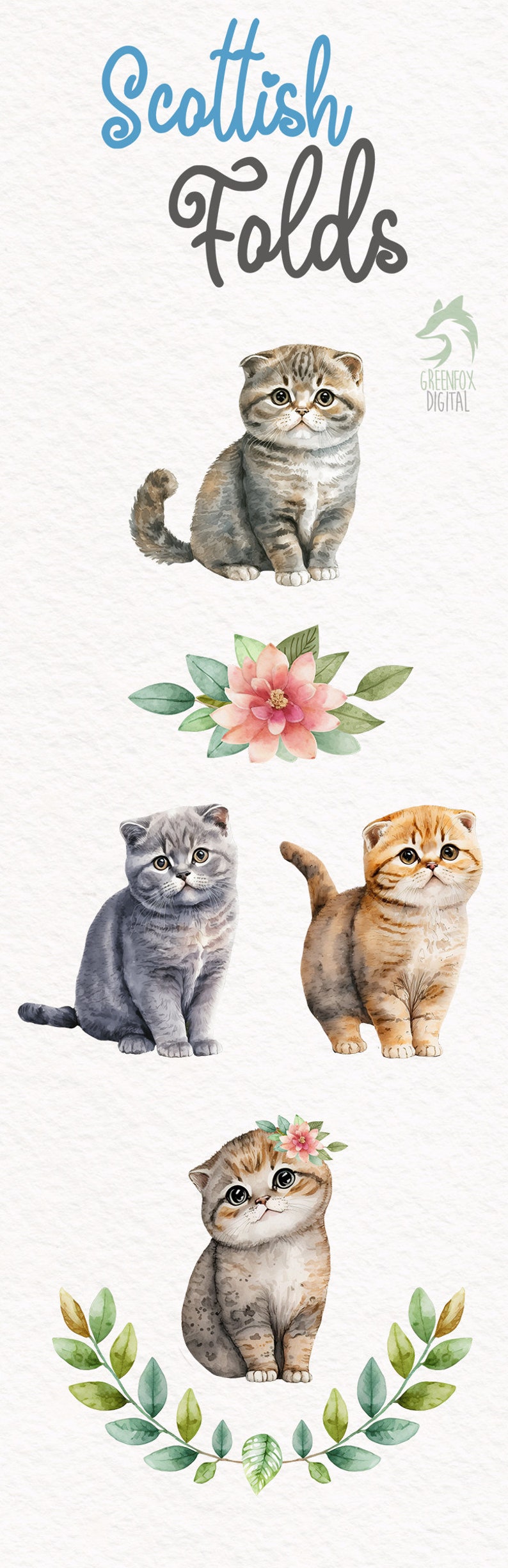 Scottish Fold Watercolor Clipart Cute Cat Nursery Decor Wall - Etsy