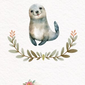 Seal Watercolor Clipart, Cute Baby Shower Graphics, Nursery Decor Wall ...