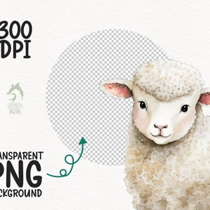 Sheep Watercolor Clipart, Cute Baby Shower Graphics, Nursery Decor Wall ...