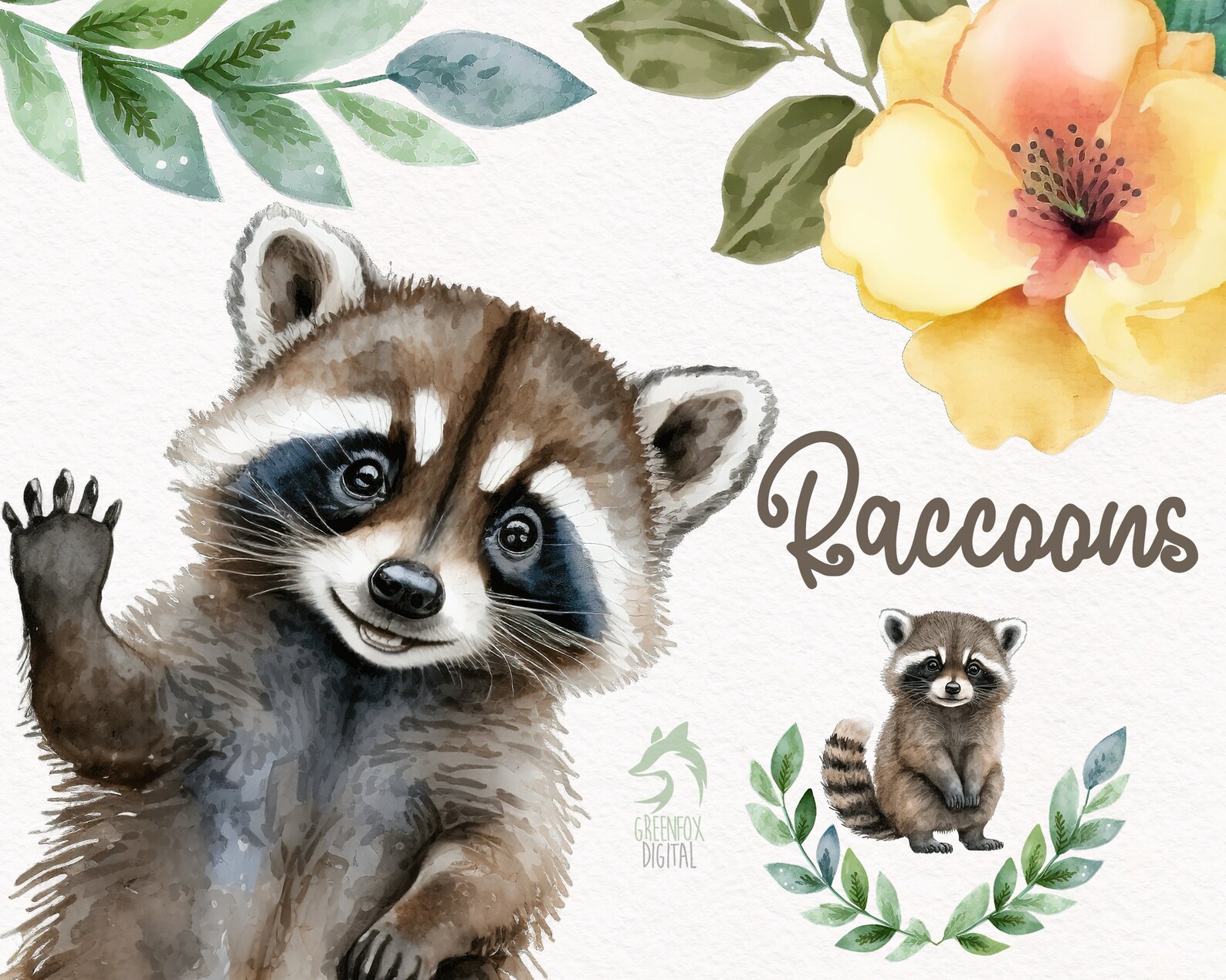 Raccoon Watercolor Clipart Cute Baby Shower Graphics Nursery - Etsy