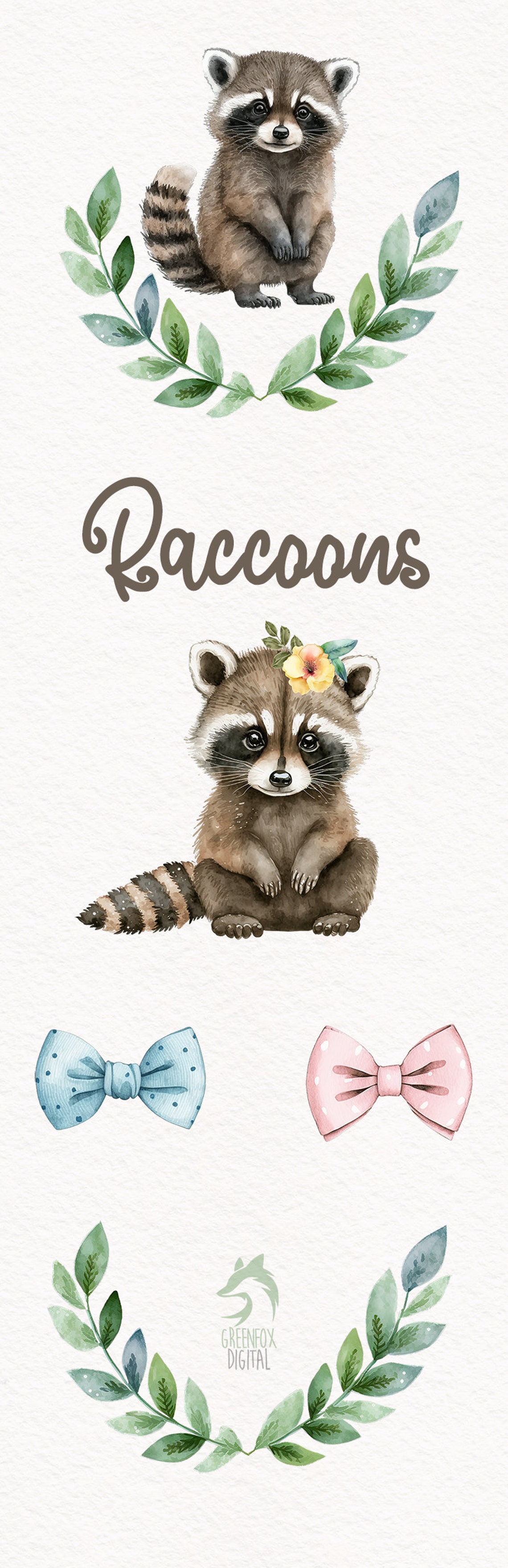 Raccoon Watercolor Clipart Cute Baby Shower Graphics Nursery - Etsy