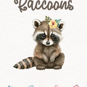 Raccoon Watercolor Clipart, Cute Baby Shower Graphics, Nursery Decor ...