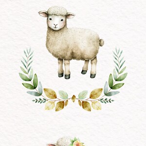 Sheep Watercolor Clipart, Cute Baby Shower Graphics, Nursery Decor Wall ...