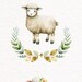 Sheep Watercolor Clipart, Cute Baby Shower Graphics, Nursery Decor Wall ...