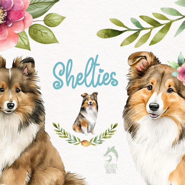 Sheltie Art - Etsy