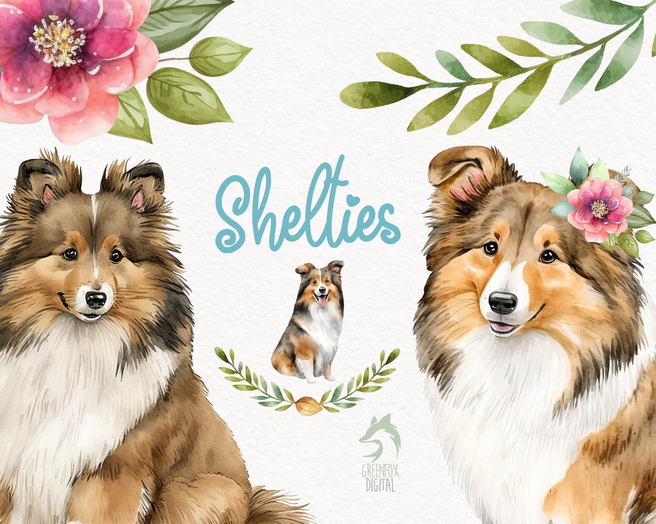 Clipart Sheltie Obedience