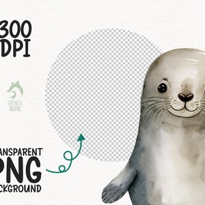 Seal Watercolor Clipart, Cute Baby Shower Graphics, Nursery Decor Wall ...