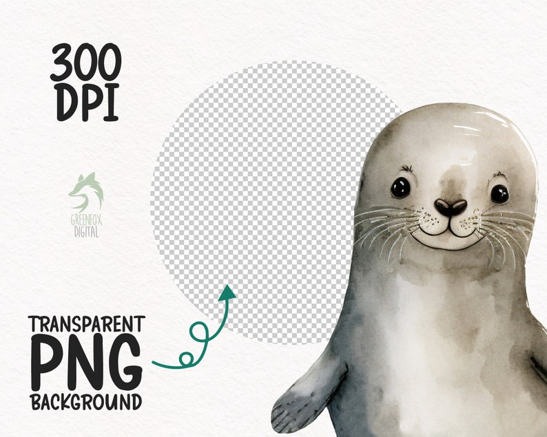 Seal Watercolor Clipart Cute Baby Shower Graphics Nursery - Etsy
