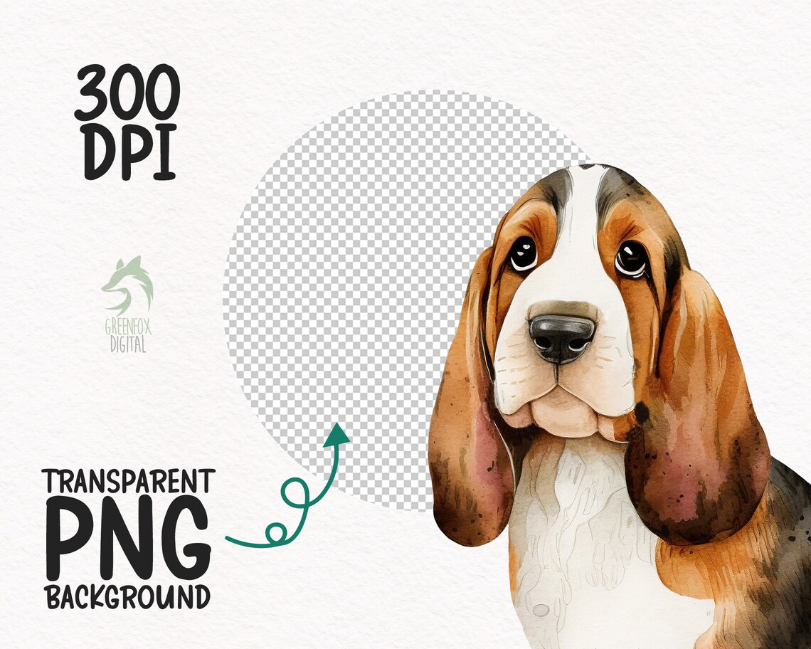 Basset Hound Watercolor Clipart Cute Dog Nursery Decor Wall - Etsy