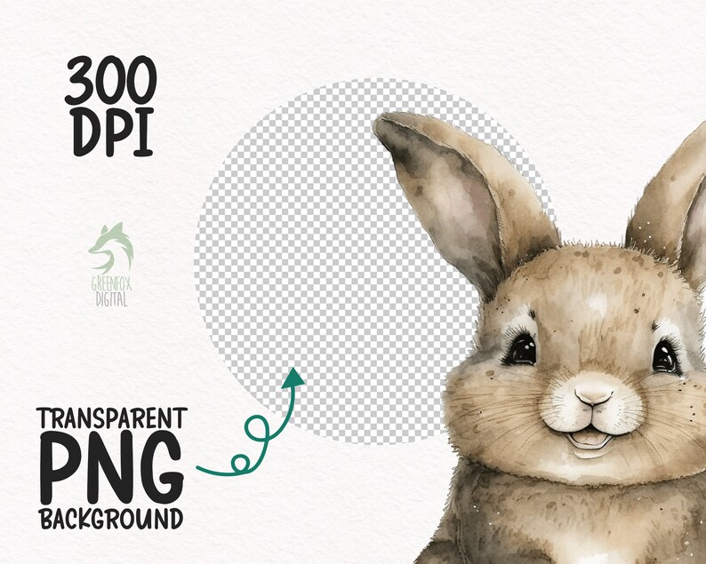 Bunny Rabbit Watercolor Clipart Cute Baby Shower Graphics - Etsy