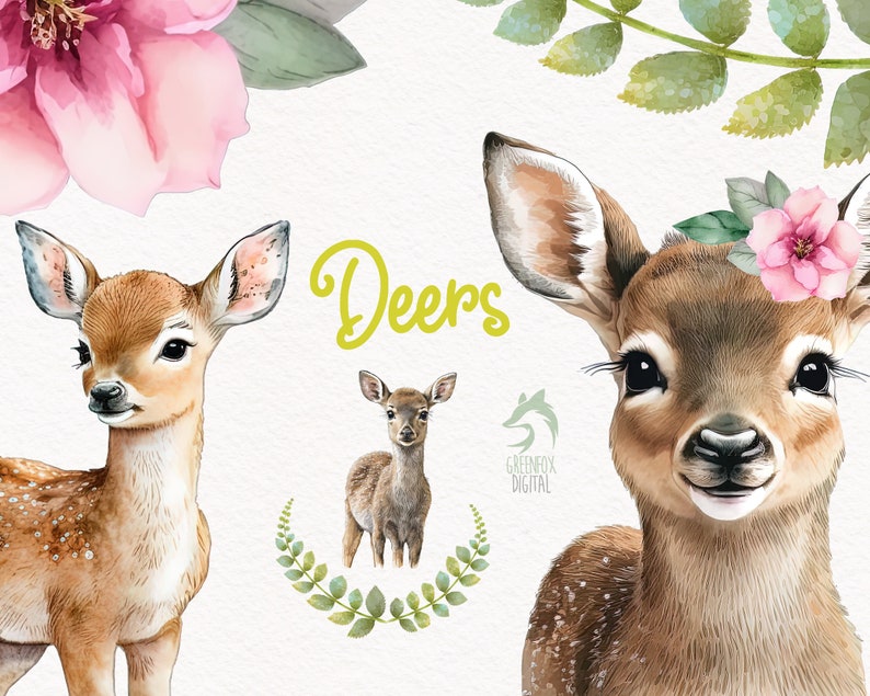 Deer Watercolor Clipart Cute Fawn Baby Shower Graphics - Etsy UK