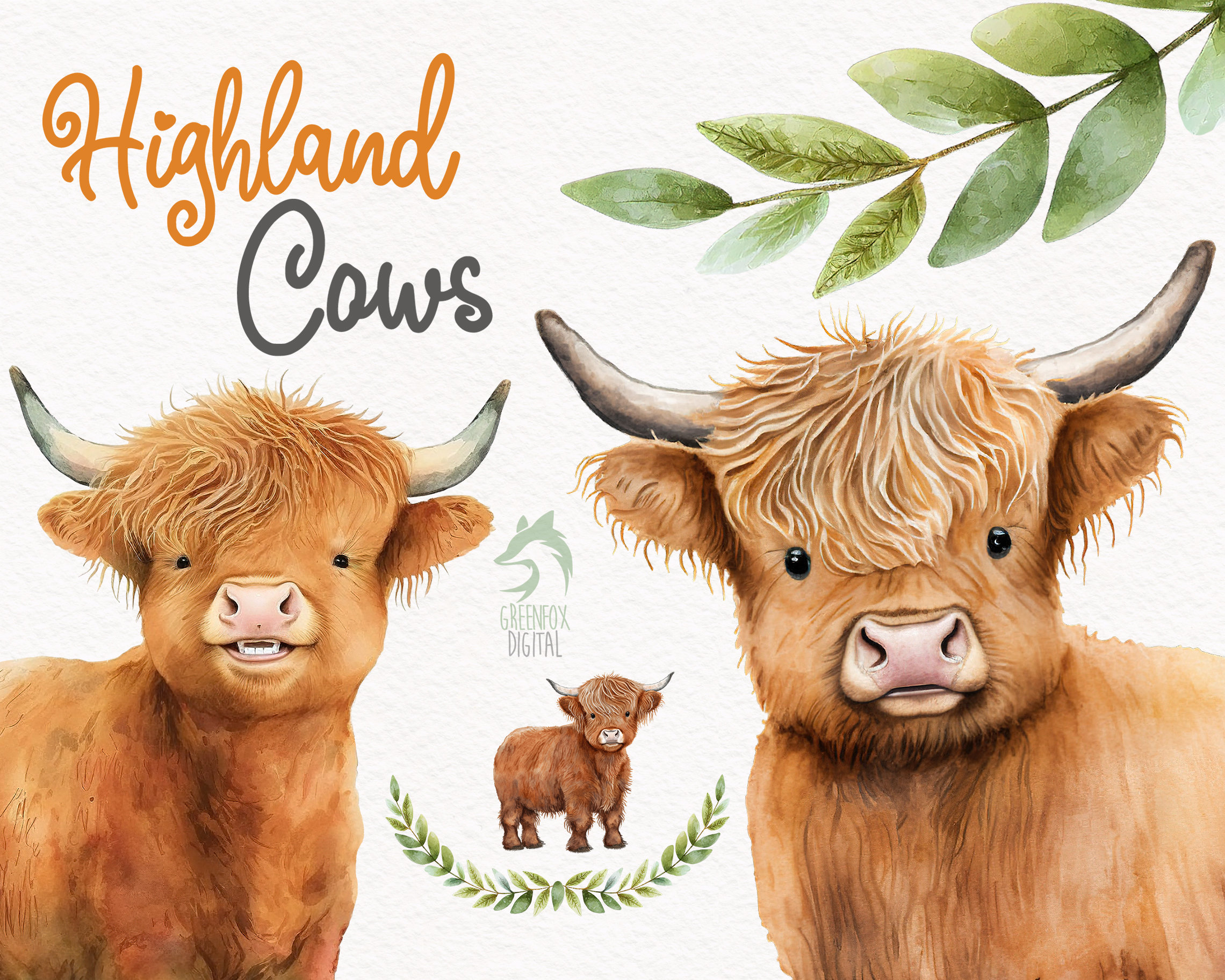 Highland Cow Watercolor Clipart Cute Baby Shower Graphics - Etsy