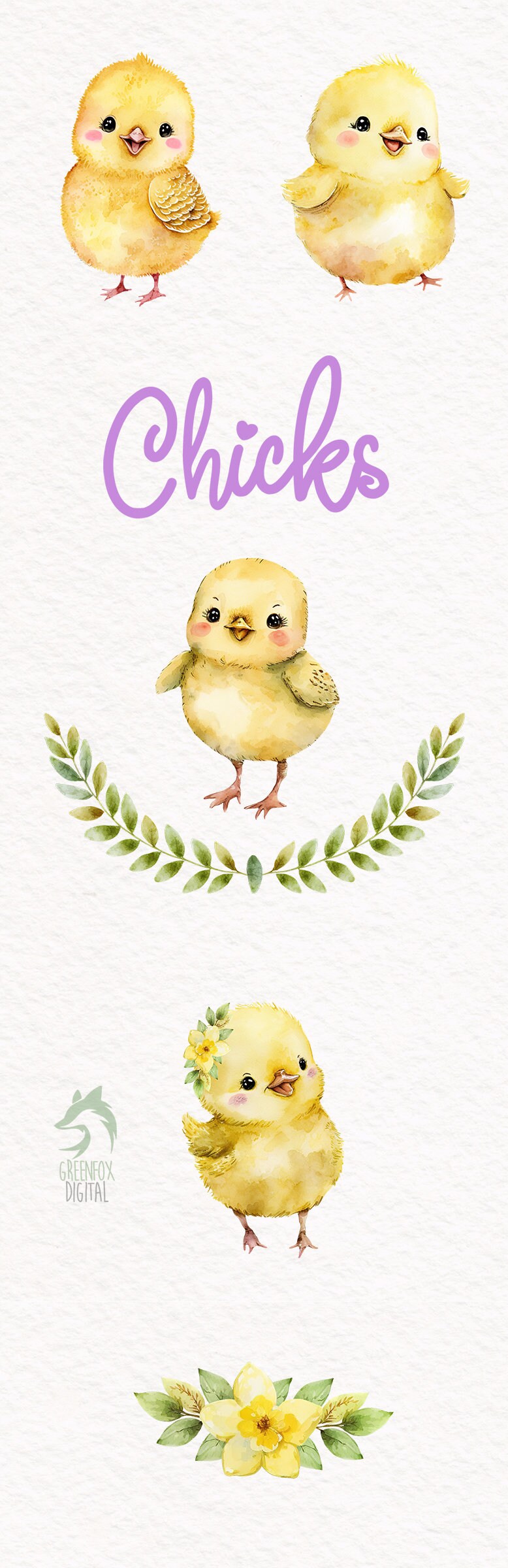 Chick Watercolor Clipart Cute Chicken Baby Shower Graphics - Etsy Australia