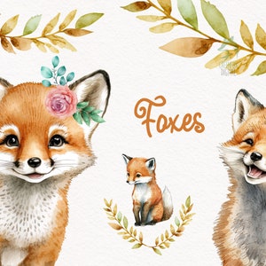 Fox Watercolor Clipart, Cute Baby Shower Graphics, Nursery Decor Wall ...