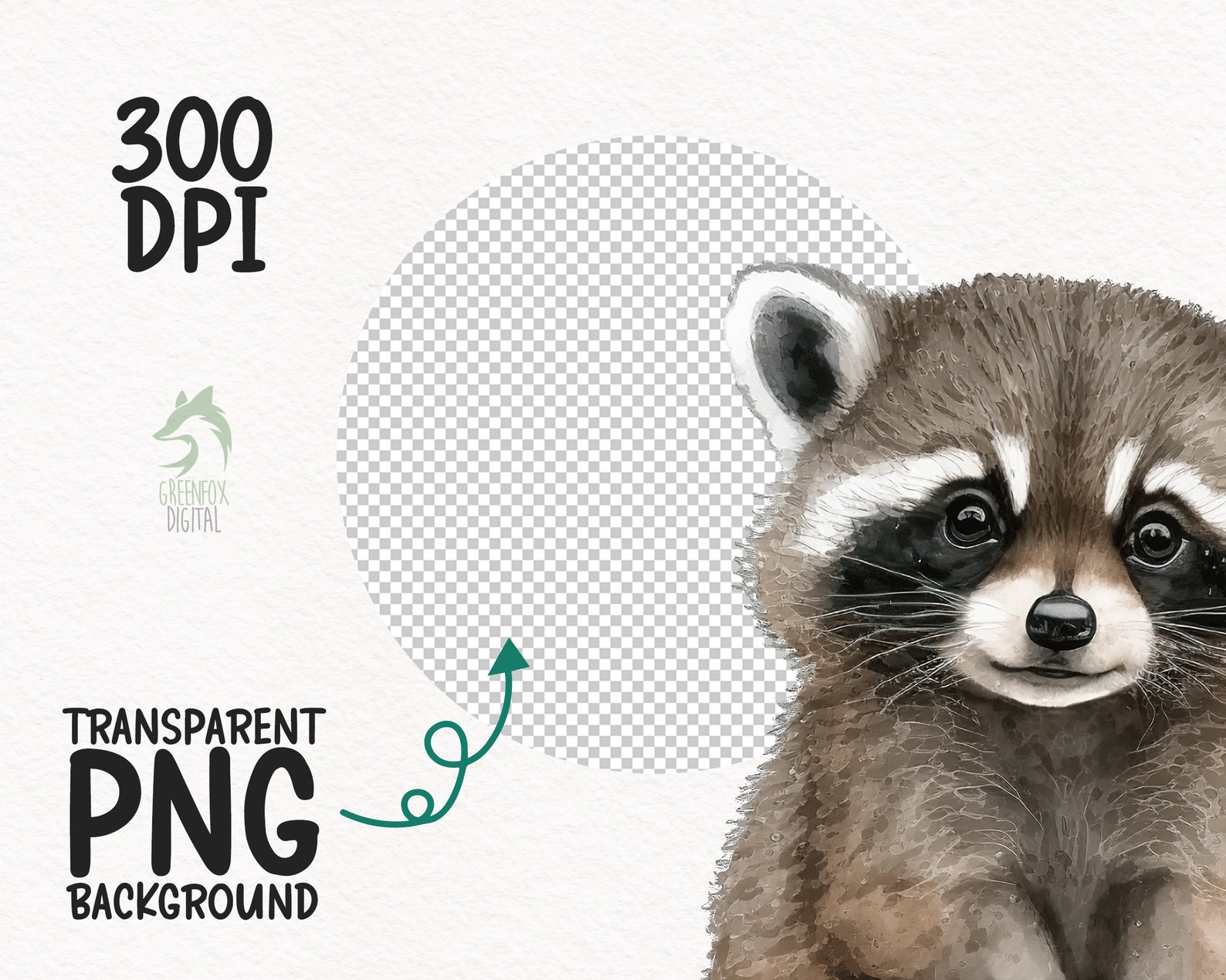 Raccoon Watercolor Clipart Cute Baby Shower Graphics Nursery - Etsy