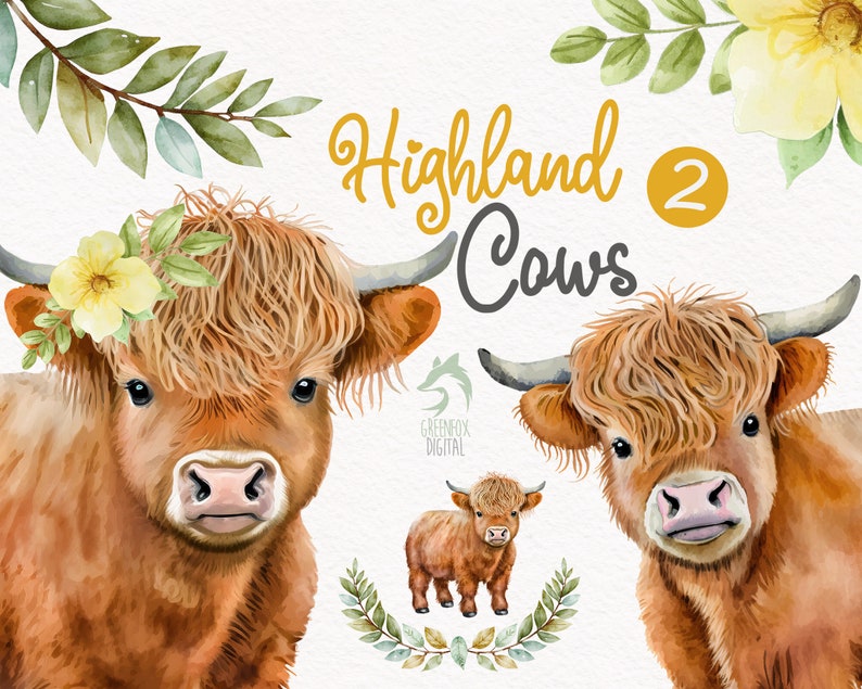 Highland Cow Watercolor Clipart Cute Baby Shower Graphics - Etsy