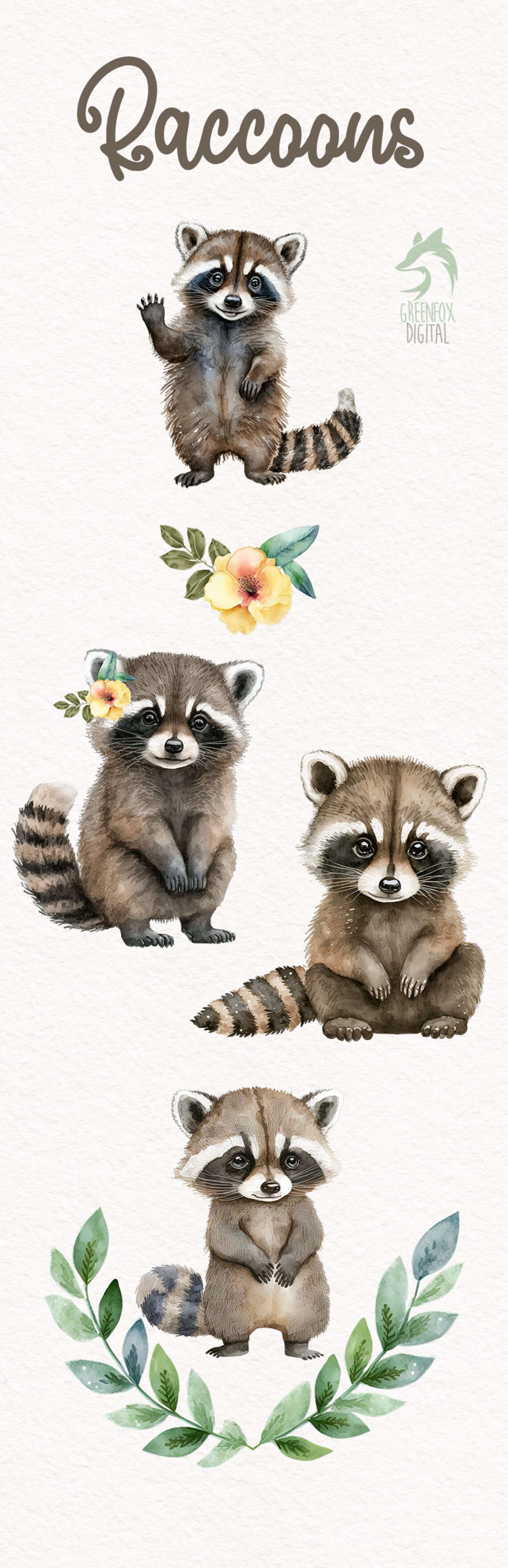 Raccoon Watercolor Clipart Cute Baby Shower Graphics Nursery - Etsy