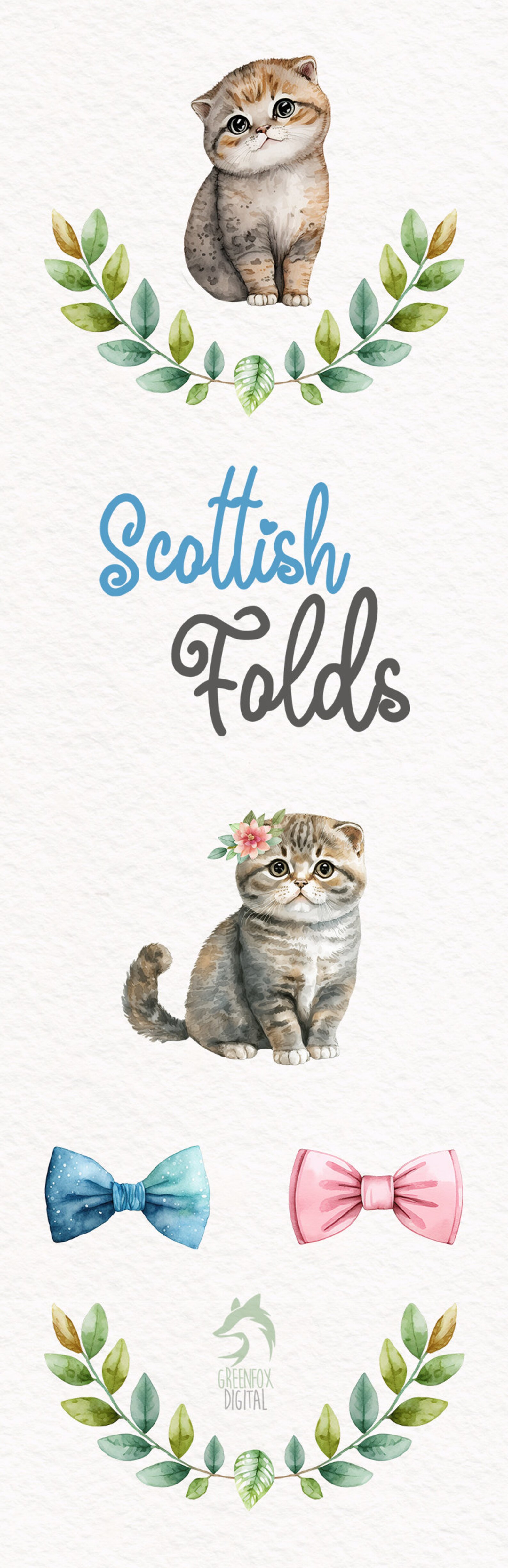Scottish Fold Watercolor Clipart Cute Cat Nursery Decor Wall - Etsy