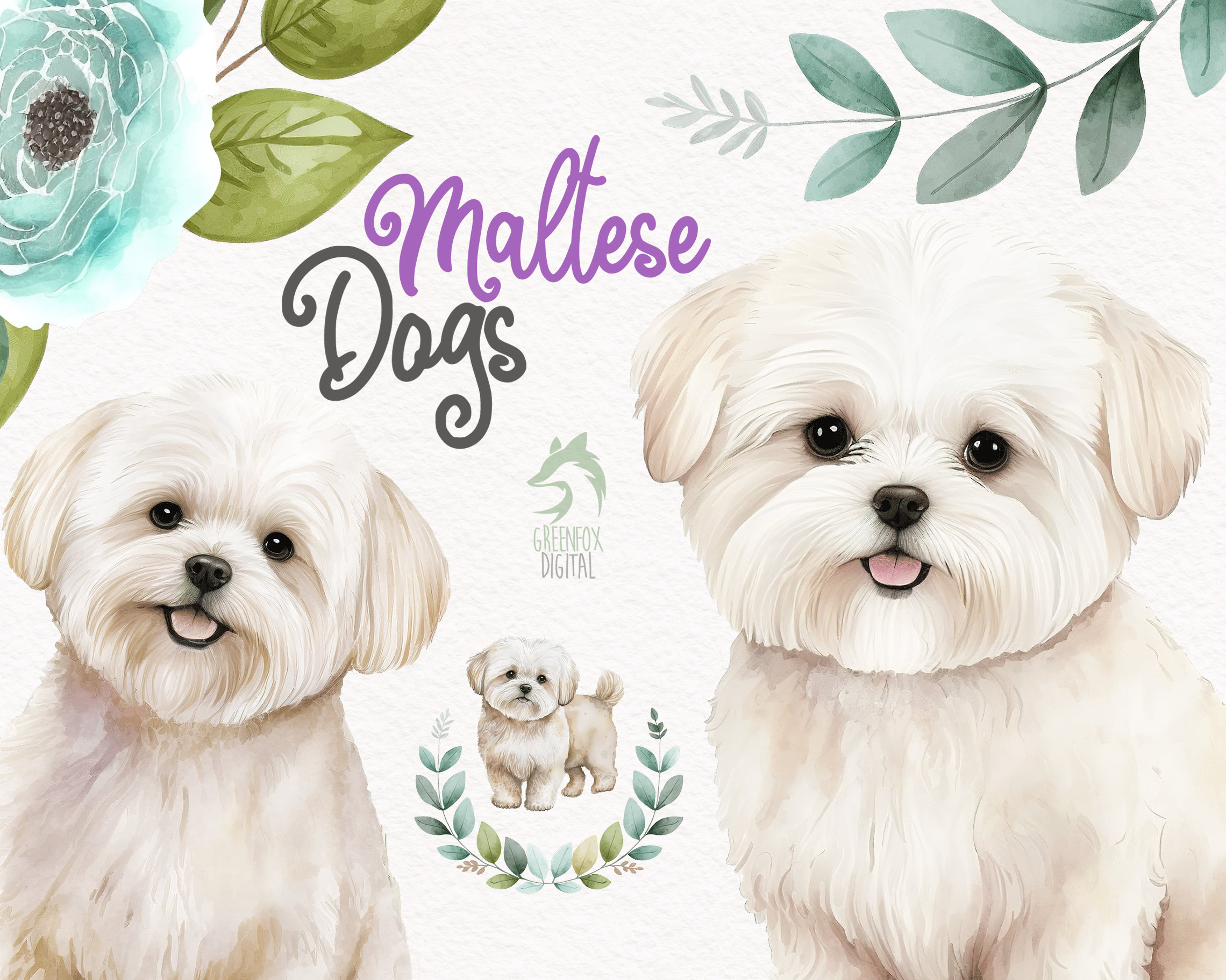 Maltese Dog Watercolor Clipart Cute Nursery Decor Wall Art - Etsy UK