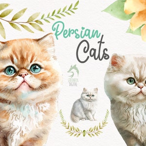 Persian Cat Watercolor Clipart, Cute Nursery Decor Wall Art, Little Pet ...