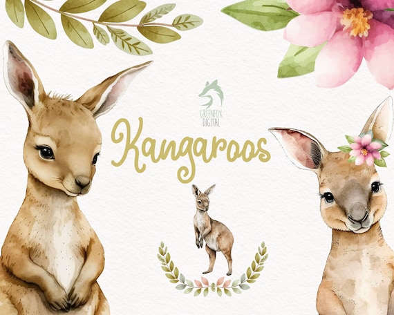 Kangaroo With Baby Clipart