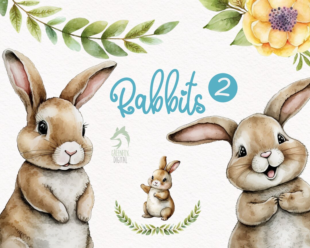 Bunny Rabbit Watercolor Clipart, Cute Baby Shower Graphics, Nursery ...