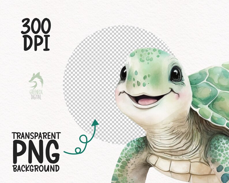 Sea Turtle Watercolor Clipart Cute Baby Shower Graphics - Etsy