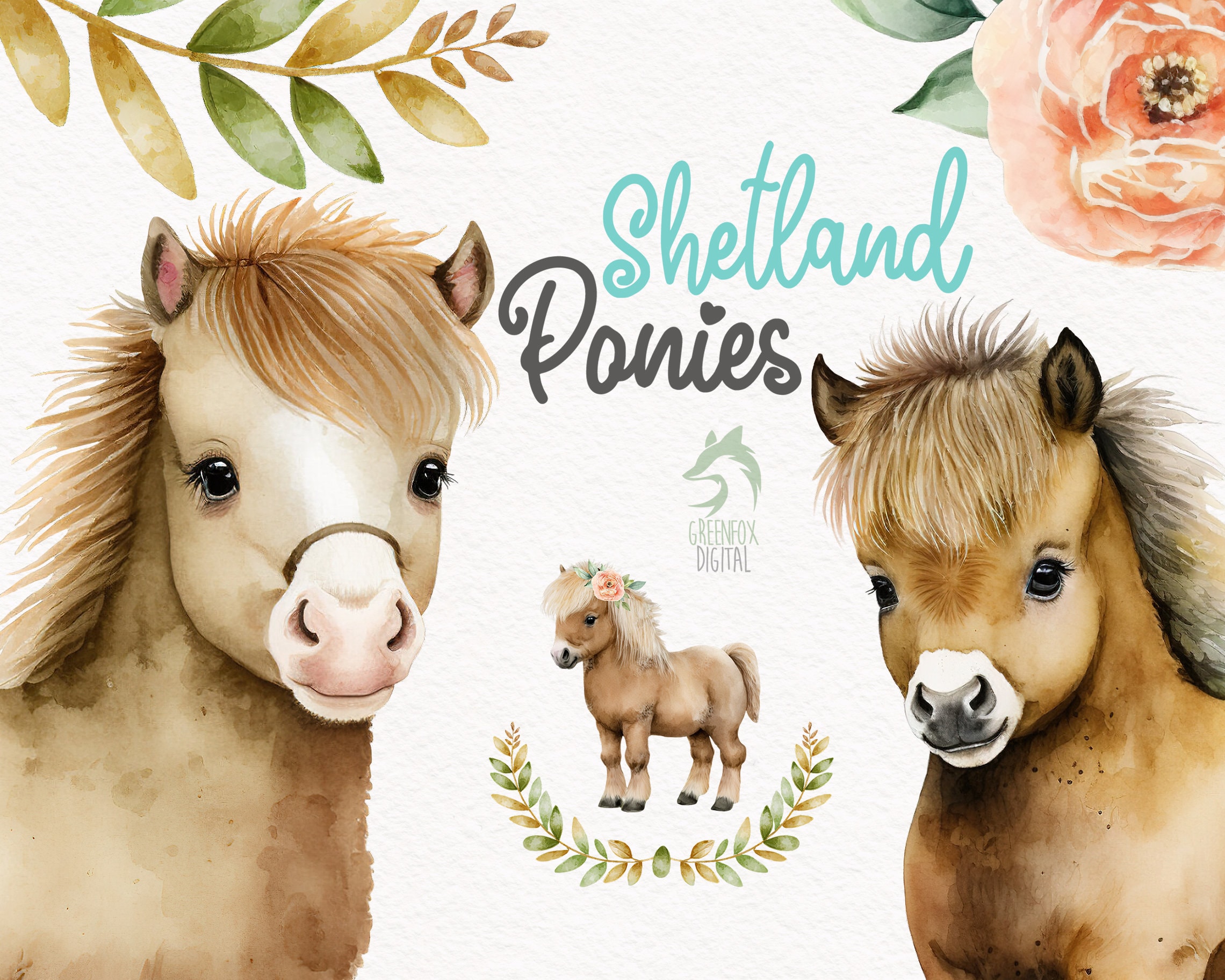 Shetland Pony Watercolor Clipart Cute Horse Baby Shower - Etsy UK