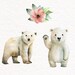 Polar Bear Watercolor Clipart, Cute Baby Shower Graphics, Nursery Decor ...