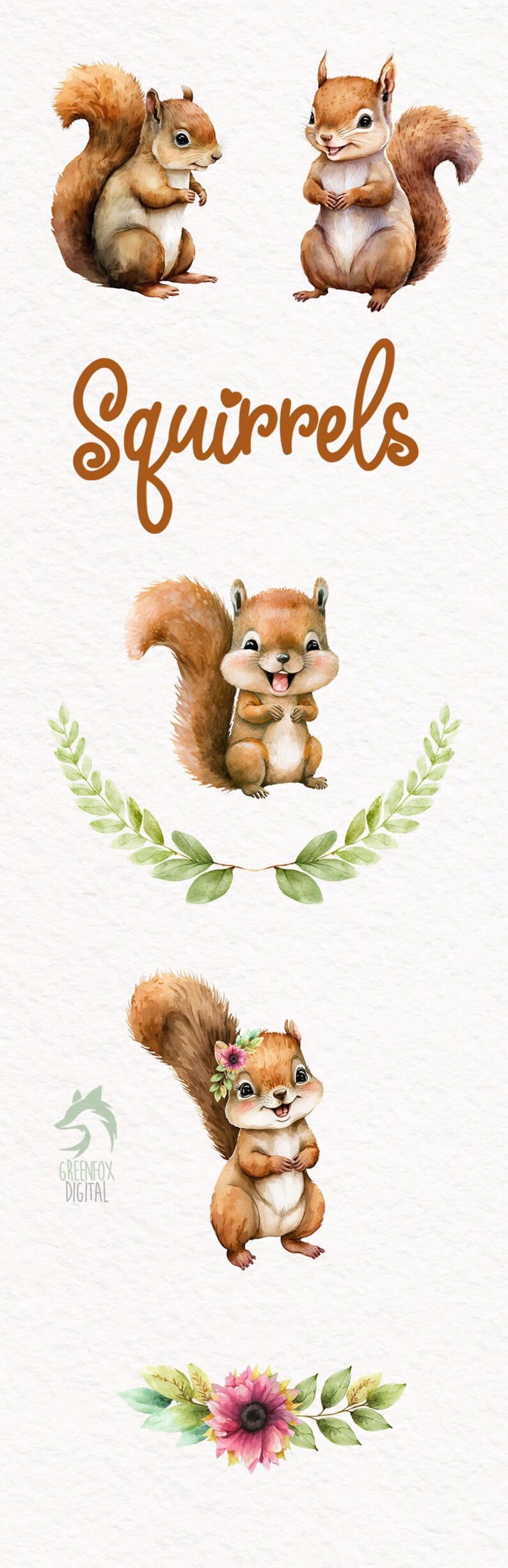 Squirrel Watercolor Clipart Cute Baby Shower Graphics - Etsy
