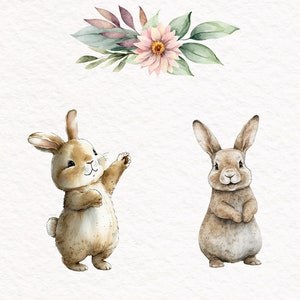Bunny Rabbit Watercolor Clipart, Cute Baby Shower Graphics, Nursery ...