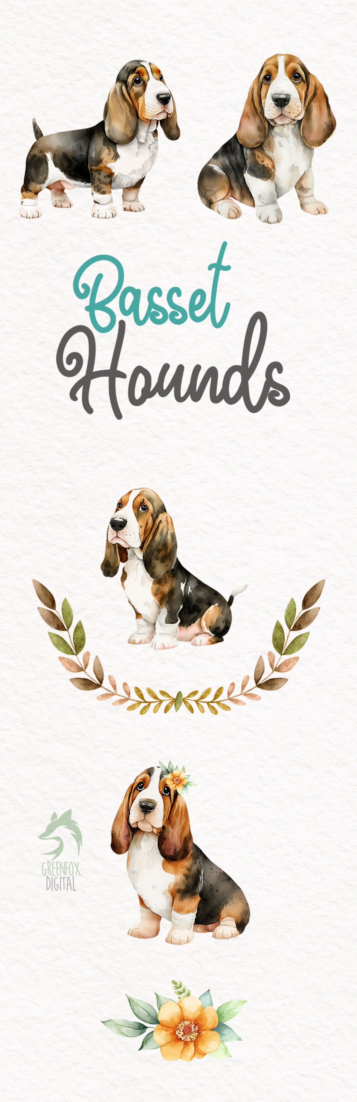 Basset Hound Watercolor Clipart Cute Dog Nursery Decor Wall - Etsy