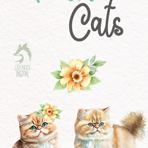 Persian Cat Watercolor Clipart, Cute Nursery Decor Wall Art, Little Pet ...