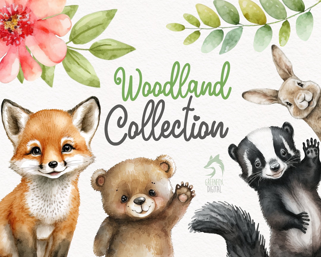 Woodland Animals Watercolor Clipart, Cute Baby Shower Graphics, Nursery ...